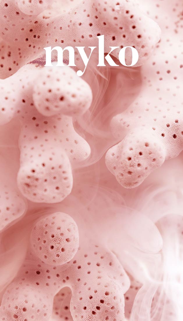 Obscure Shapes - Skin Genius